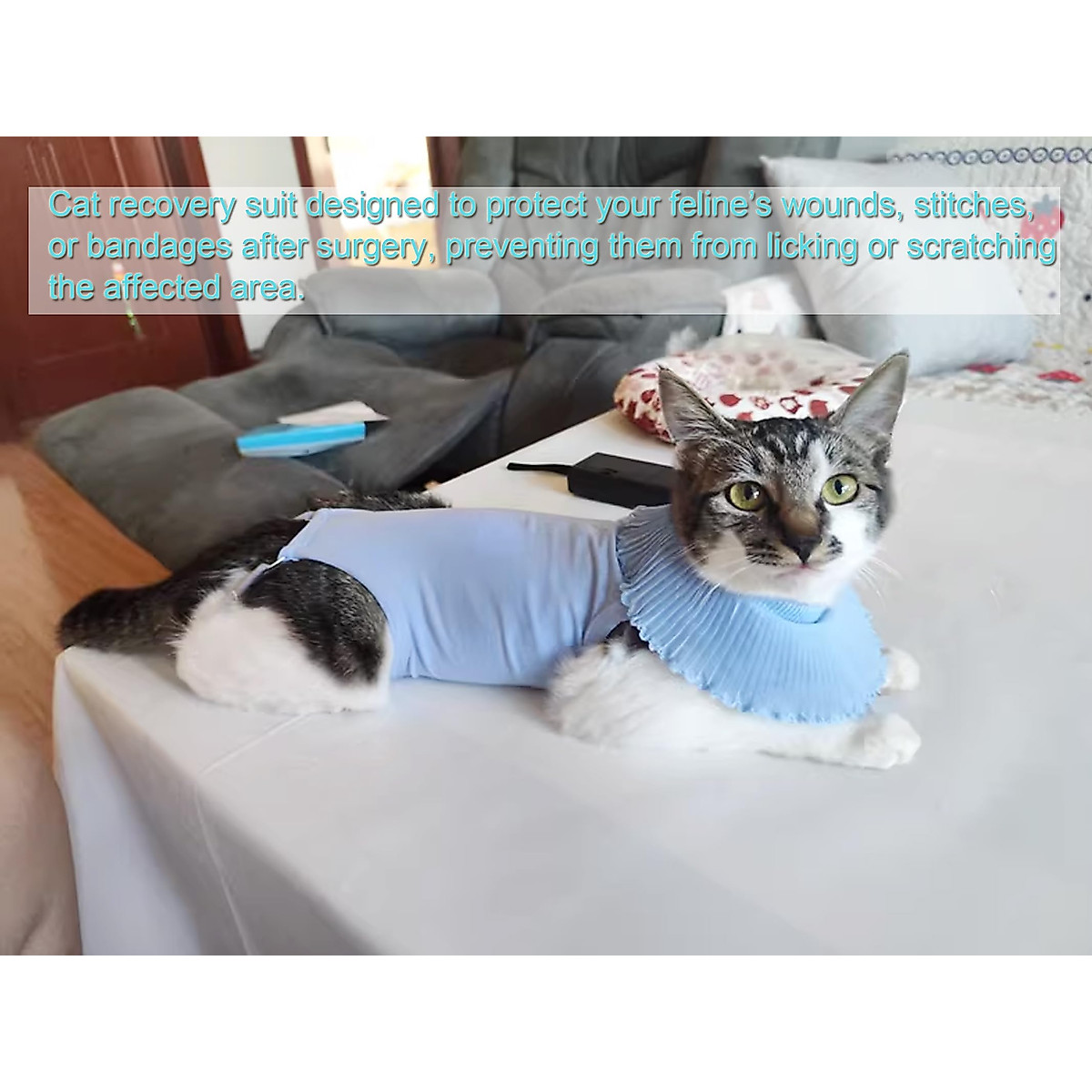 Cute Cat Surgical Recovery Suit Female Male Onesie for Cat After Surgery, Pet Cat Alternative Bandages Cones & Collars (Blue, S)