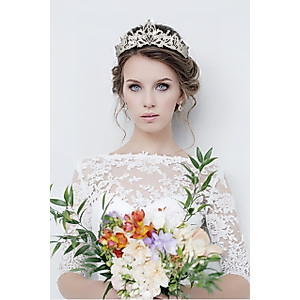 Kamirola Crystal Crowns and Tiaras Headband for Girl or Women Birthday Party Wedding Prom Bridal Christmas Valentine Mother's DayTR20 (Silver)