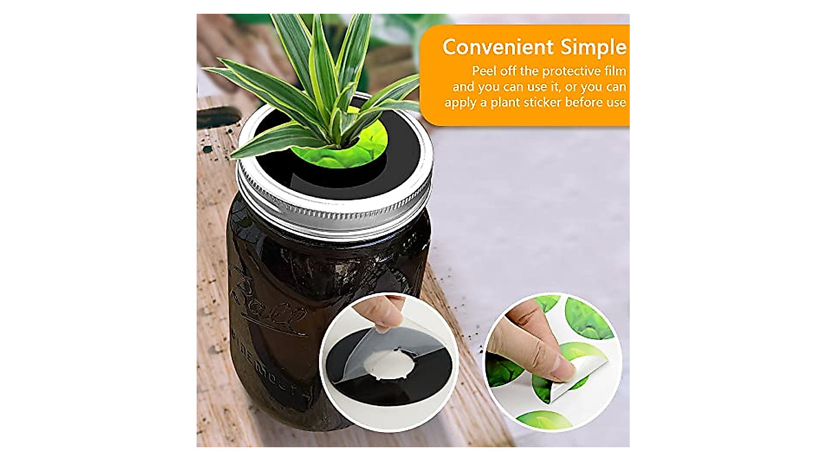 Kratky Lids Hydroponic Garden - Indoor Planting Kit