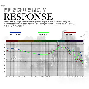 Linsoul TANGZU Wan’er S.G HiFi 10mm Dynamic Driver PET Diaphragm in-Ear Earphone with Ergonomic Shape, Detachable 2Pin OFC Braided Cable for Audiophile Musician DJ Stage (Black, Wan’er S.G)