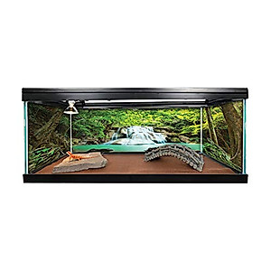 Reptile Habitat Background; Rain Forest with Waterfall for 20L, 3-Sided Wraparound