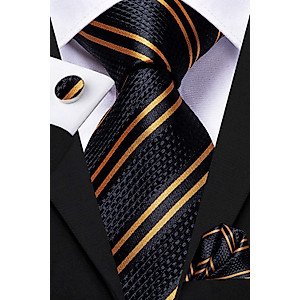 Dubulle Mens Paisely Floral Silk Tie for Men Striped Necktie and Pocket Square Set Wedding Business,Black