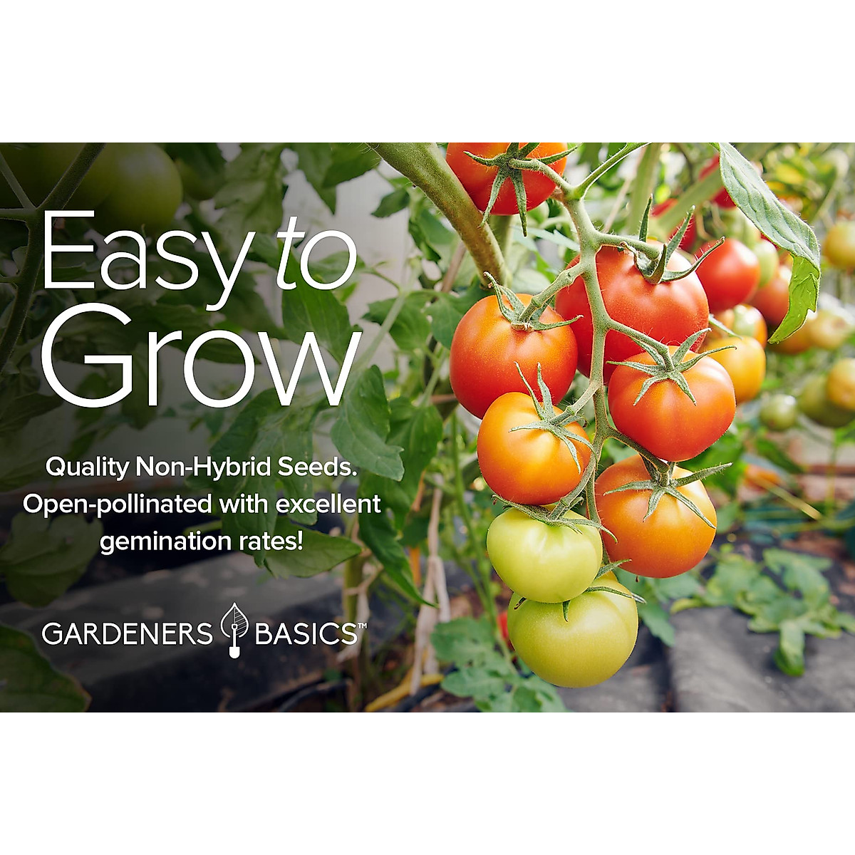 Gardeners Basics, Tomato Seeds for Planting 16 Variety Pack Heirloom Tomato Seeds, Tiny Tim, Cherry Tomato Seeds, Beefsteak Seeds, Roma Tomato Seeds, Determinate and Indeterminate and More, Non GMO