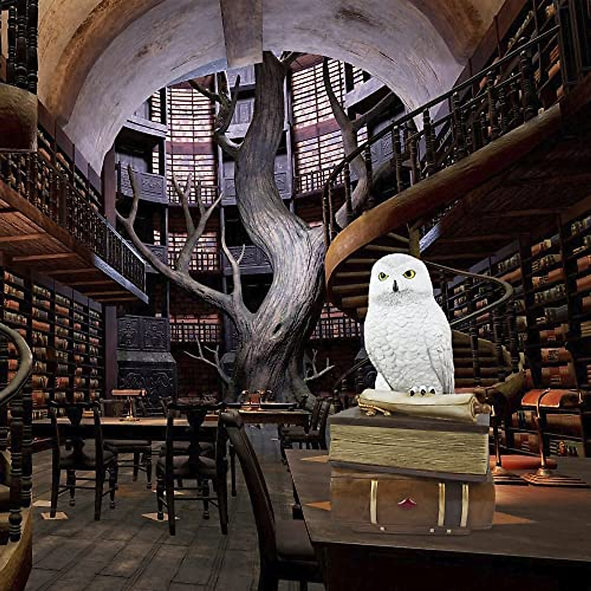 World of Wonders Wizard School White Owl Sculpture Decorative Box with Lid | Knick Nacks for Shelves and Owl Decor | Home Decor for Table Top | Book Lover Gift - 9"
