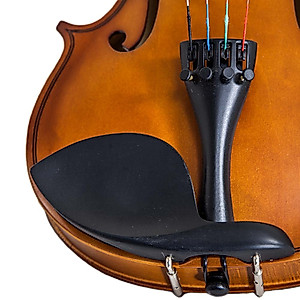 Paititi 4/4 Full Size Artist-100 Student Violin Starter Kit with Brazilwood Bow Lightweight Case, Shoulder Rest, Extra Strings and Rosin