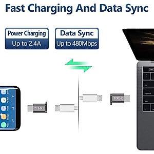 JSAUX Micro USB (Female) to USB C Adapter 4-Pack, Aluminum USB Type C Adapter with Keychain Fast Charging Compatible with Samsung Galaxy S10 S9 S8 Plus Note 9 8, LG V30 G5 G6, Moto Z Z2, more (Grey)