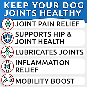 Glucosamine Dog Treats - Joint Pain Relief Supplement - Advanced Formula with Chondroitin, MSM, Omega-3 - Hip & Joint Care - Made in USA - Chicken Flavor - 120 Chews