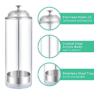 Worldity 1Pcs Plastic Straw Dispenser and 100Pcs Drinking Straw, Straw Holder with Stainless Steel Lid, Transparent Straw Dispenser for Pencils, Stir Sticks, Drinking Straw