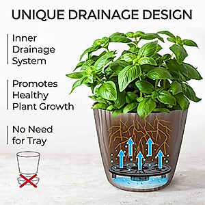 Mueller Austria Plant and Flower Pot 6/1 Set, Heavy Duty 6 Inch European Made Stylish Indoor/Outdoor Decorative Planter, for All House Plants, Flowers, Herbs, Mocha