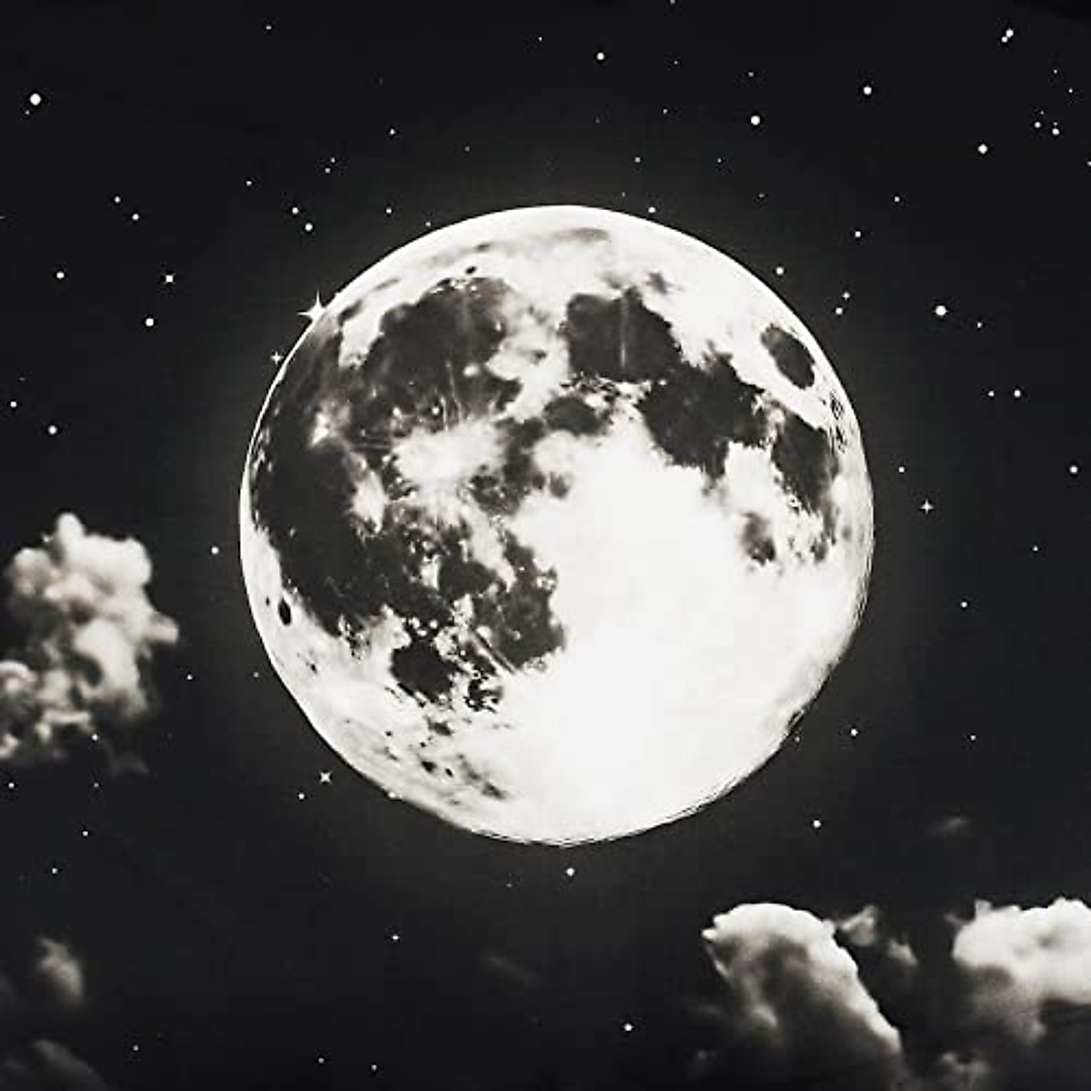 LB Full Moon Over Ocean Tapestry Wall Hanging, Moonlit Garden Tapestry, Night Sky Flower Plant on Black Background Wall Decor for Teen Bedroom Living Room Dorm Home Decor, 40 x 60 Inches