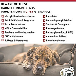 4Legger Organic Dog Shampoo USDA Certified Organic, All Natural Hypoallergenic Dog Shampoo with Oatmeal, Lavender, and Coconut Oil - Organic Oatmeal Shampoo for Dogs - Dog Shampoo for Itchy Skin 16 oz