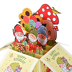 Giiffu 3D Pop up Birthday Cards, Happy Birthday Pop Up Card, Happy Birthday Card for Kids, Birthday Cards for Him or Her, Birthday Gift Greeting Cards with Envelope and Note Card(Gnome)