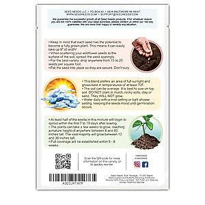 Seed Needs, Package of 15,000+ Hummingbird and Butterfly Garden Wildflower Seed Mixture for Planting (99% Pure Live Seed- NO Filler) 20+ Varieties, Annual Perennial - Bulk