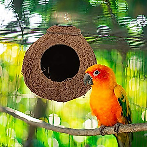 balacoo 3 pcs Coconut Shell Bird Nest Reptile Hanging Hideout Bird House Bird bite Shell House Coco Finch hut Gecko Coco hut Birds Nest Parrot Toy Bird cage Stainless Steel The Bird's nest