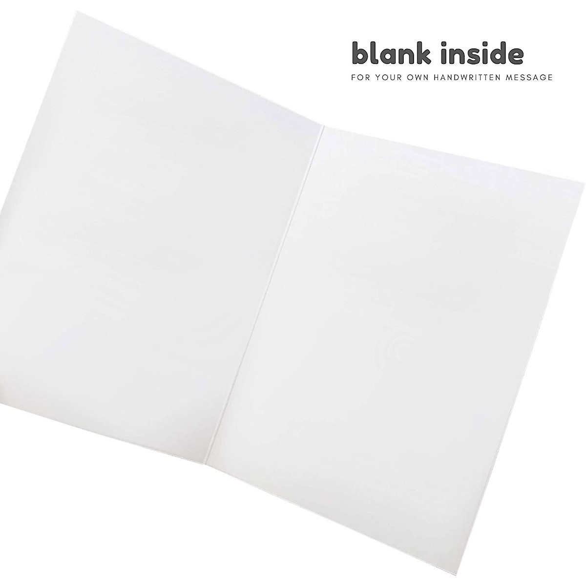 PICTURE THIS PRINTS Funny Leo Zodiac Birthday Card, Zodiac-themed Card, Astrology Greeting Card, Card with Envelope, Leo Birthday Card, Leo Astrology Card, Zodiac Greeting Card, 5x7 inches