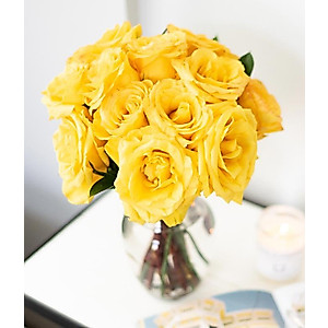 DELIVERY BY FRIDAY, 8/2 GUARANTEED IF ORDER PLACED BY 8/1 BEFORE 2PM EST From You Flowers - One Dozen Yellow Roses with Glass Vase (Fresh Flowers) Birthday, Anniversary, Get Well, Sympathy,