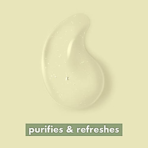 Love Beauty and Planet Radical Refresher 100% Biodegradable Shampoo Detoxifying & Purifying Tea Tree Oil & Eucalyptus Vegan Shampoo 0% Sulfates, Silicones, Parabens, and Dyes 13.5 oz