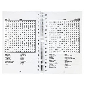 Word Search Puzzles (Big Book of Puzzles) (Brain Busters)