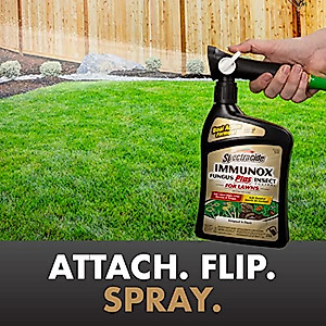 Spectracide Immunox Fungus Plus Insect Control for Lawns, 32 fl oz, Pack of 6