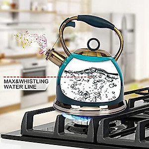 Tea Kettle -3.0 Quart Tea Kettles Stovetop Whistling Teapot Stainless Steel Tea Pots for Stove Top Whistle Tea Pot