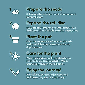 Herb Garden Starter Kit Deluxe - Culinary Herb Gardening Seeds for Indoor Home Planting with Wooden Gift Box - Perfect Kitchen Cooking Gift for Women or Men Gardener. Unusual Adult Plant Growing Gifts