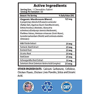 I LOVE MY PETS LLC Dog Immunity Supplements - Dog Immune Support - Booster - Healthy PET - Supplement - Dog Turmeric Chews - 60 Treats (1 Bottle)