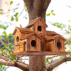 COLEBA Bird Houses for Outside,Outdoor 5 Hole Bird House Room for 5 Bird Families Bluebird Finch Cardinals Hanging Birdhouse for Garden (Brown - Set of 1)