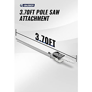 Sunseeker 10-Inch Pole Saw with 30-Inch Shaft Universal Attachment, Articulating Pole