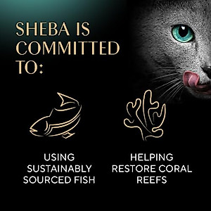 Sheba Perfect Portions Wet Cat Food Pate Tender White Fish and Tuna Entree, 2.6 oz. Twin-Pack Trays (24 Count, 48 Servings)