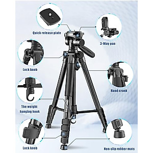 CAMBOFOTO 62"-Camera-Tripod, Lightweight Travel Compatible DSLR/Phone/Camcorder, Aluminum Tri Pod with Holder and Travel Bag. (Black, Weight 2.8Lb, Max Load 4.9 Lb)