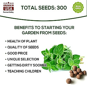 Oregano Seeds for Planting Home Garden Herbs - Individual Pack of 300+ Heirloom Seeds, Suitable for Outdoors, Indoors, and Hydroponics - Non-GMO, Non-Hybrid, Untreated, and USA Grown Variety