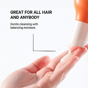 LOMA Daily Shampoo (clear formula) and Daily Conditioner (DUO PACK) 12 Ounce Each