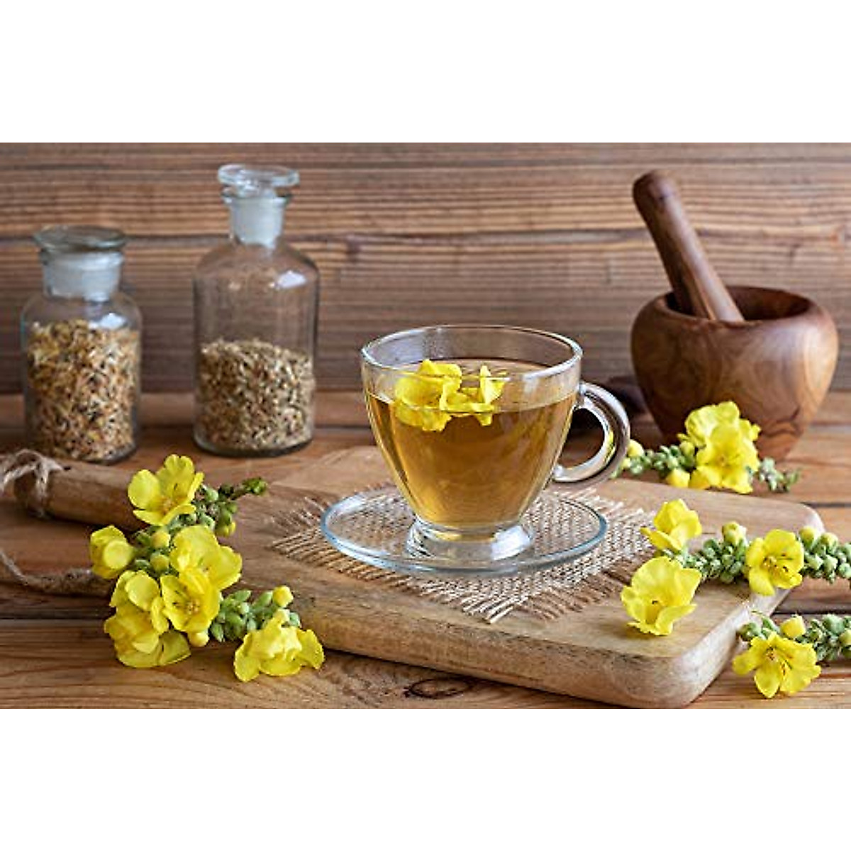 Earthcare Seeds Great Mullein Verbascum thapsus 150 Seeds Heirloom- Non GMO - Open Pollinated