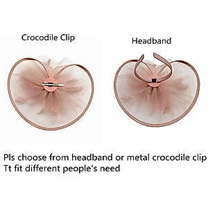 SAFERIN Fascinator Hair Clip Cocktail Hat Bowler Feather Flower Derby Kentucky Veil Wedding Party Hat Tea Fascinators (a-Skin Pink)