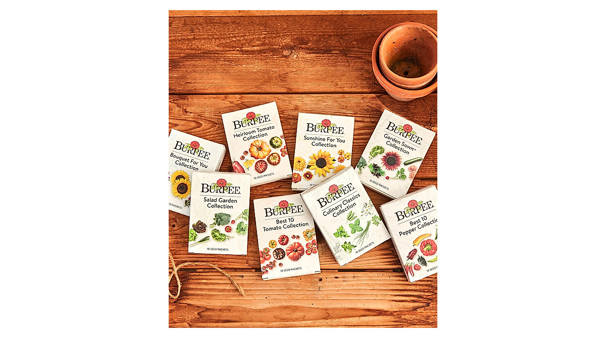 Burpee Salad Garden Collection - Non-GMO Seed Pack for Fresh Homegrown ...