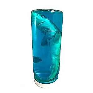 Real Shark in a Bottle Jar, Marine Specimen Taxidermy, Fishing, Jaws