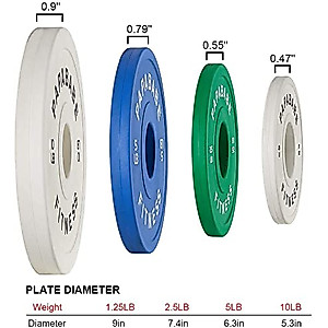 papababe Olympic Change Plates 2 inch Fractional Weight Plates Designed for Olympic Barbells for Strength Training(4X5+2X10LB)
