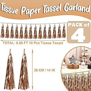 4P Champagne Gold Foil Fringe Metallic Streamers Banner Tassel Garland for Parade Floats, Bachelorette, Wedding, Birthday, Halloween, Christmas, Bridal/Baby Shower Party Decorations