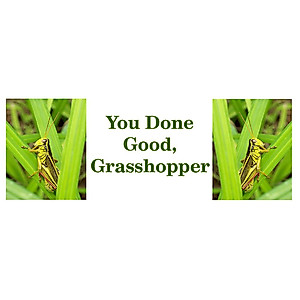 CafePress Grasshopper Mug Ceramic Coffee Mug, Tea Cup 11 oz