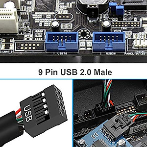 Kowlone Motherboard 9 Pin USB Header Splitter, Male 1 to 4 Female Extension Splitter Cable Desktop Card 9-Pin USB 2.0 HUB Connector Adapter Port Multiplier
