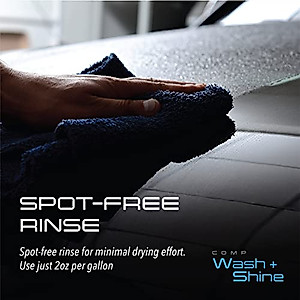 Molecule Wash and Shine, Hi-Foaming, Spot-free rinse, Removes Rubber Marks, Oils, and Dirt, 16 Ounces