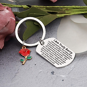 WSNANG Apology Keychain Gift Sorry Jewelry I Am Truly Sorry Gift Idea for Apologizing Forgive Me Gifts (I Am Truly Sorry DT)