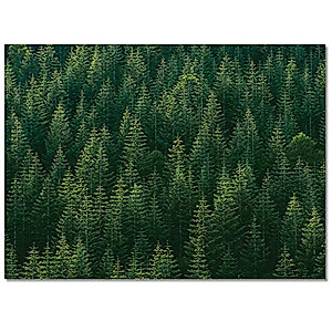 2' x 3' Forest Area Rug, Green Natrual Landscape Beautiful Tree Outdoor Indoor Washable Carpet Area+Rug for Living Room, Kids/Boys/Girls Bedroom, Bathroom, Classroom, Kitchen, Hallway, Throw Floor Mat