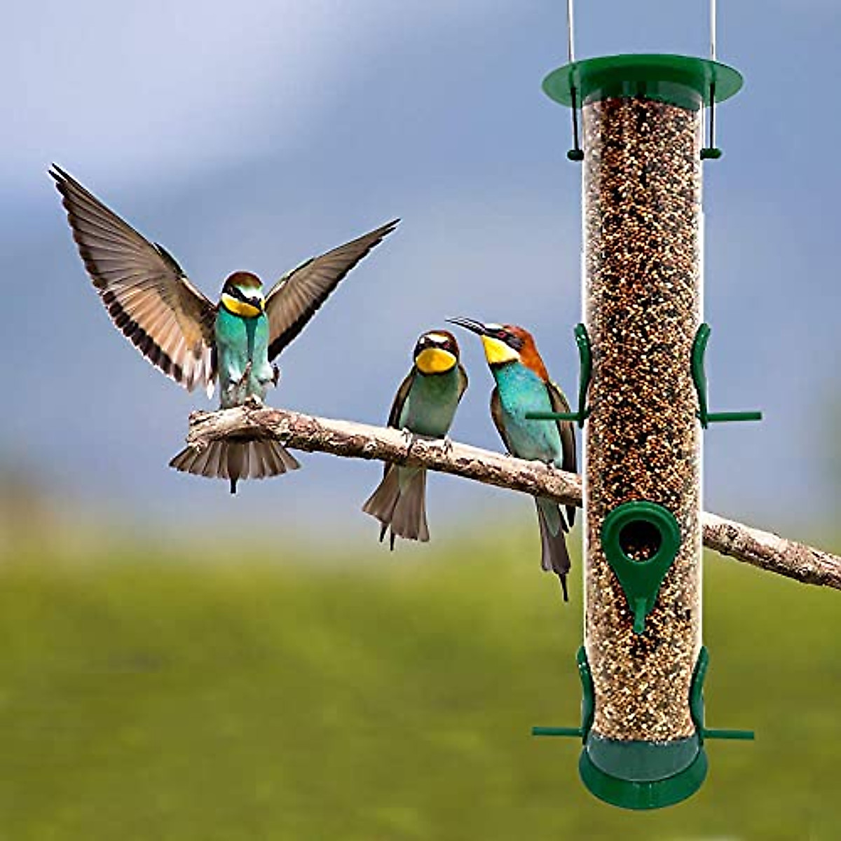 MIXXIDEA Bird Feeder Tube Hanging Feeders, 6 Port Wild Bird Feeders Premium Hard Plastic with Steel Hanger Weatherproof and Water Resistant Great for Attracting Birds 18.2 Inches Large (Dark Green)