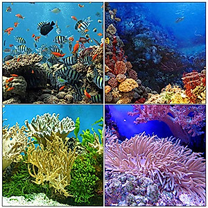 Boao 2 Pieces Long Pipette for Fish Tank Coral Food Feeder Long Syringe Reef Coral Food Spot Feeder Tube for Reef Aquatic Plant Spider Snake Lizard