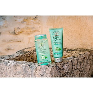 Le Petit Olivier Purifying Micellar Shampoo - Aloe Vera And Green Tea - Cleanses Hair - Reduce Excess Sebum - Suitable For Normal To Oily Hair - Free Of Silicones - 8.45 Oz