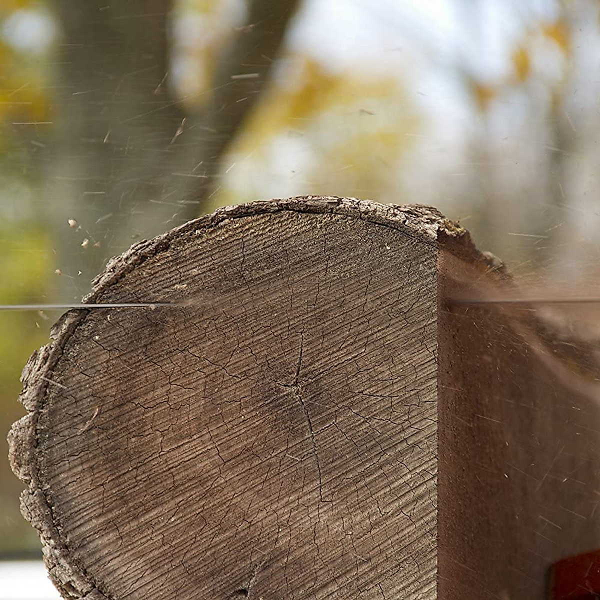 Wood-Mizer DoubleHard 158" Sawmill Bandsaw Blades 10° All-Purpose Sawing - 5 Pack