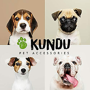 Kundu KDU-013 Deluxe Backpack Pet Travel Carrier with Double Wheels - Black - Approved by Most Airlines