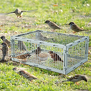 Bird Trap Cage with Escape-Proof,Bird Traps for Small Birds Live,Sparrow Trap,Portable,Easy Assembly and Unharmful.Made of Iron with Anti-Rust Paint A4