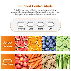 KOIOS Upgraded Juicer Machines, Cold Press Juicer, Slow Masticating Juicers with Two Speed Modes, Juicer Extractor for fruits and veggies, Reverse Function, Full Copper Motor, Easy to Clean with Brush